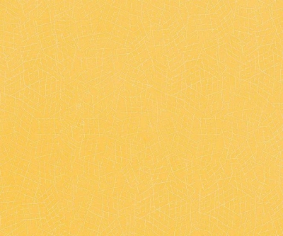 Asian Paints Royale Play – Criss Cross Texture – Yes Painter