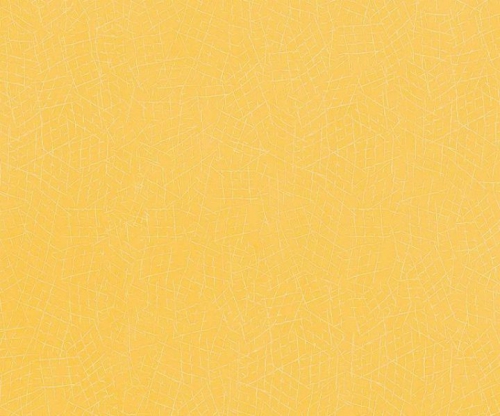 Asian Paints Royale Play – Criss Cross Texture – Yes Painter