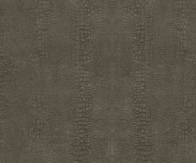 Asian paints Royale Play – Infinitex Skin – Yes Painter