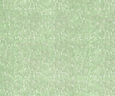 Asian Paints Royale Play Safari Classic – Yes Painter