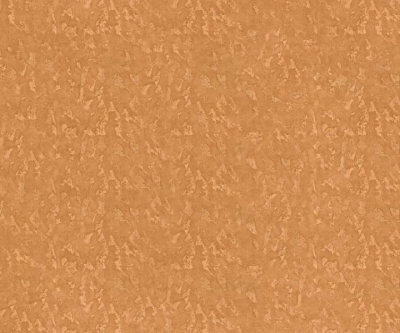 Asian Paints Royale Play Stucco World Map – Yes Painter