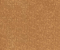 Asian Paints Royale Play Safari Classic – Yes Painter