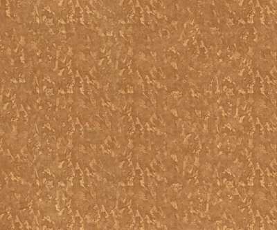 Asian Paints Royale Play Safari Classic – Yes Painter