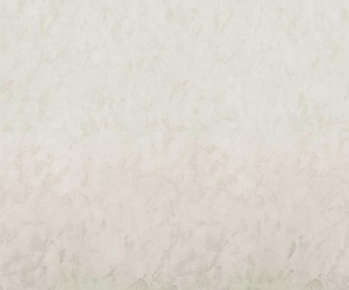 Asian Paints Royale Play Stucco Marble – Yes Painter